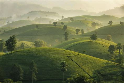Why You Should Take A Perfect Getaway To Da Lat Vietnam