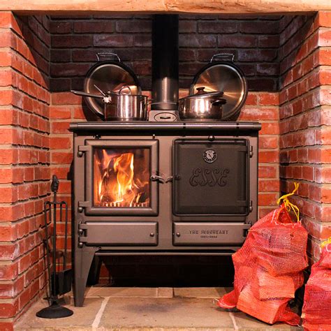 Multi Fuel Fireplace Stove At Julia Alvarado Blog