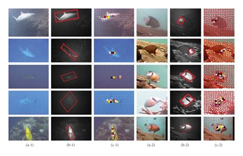 Seed Selection A Original Samples B Optical Collimation Region