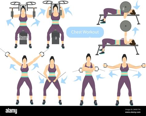 Womens Chest Exercises Gym