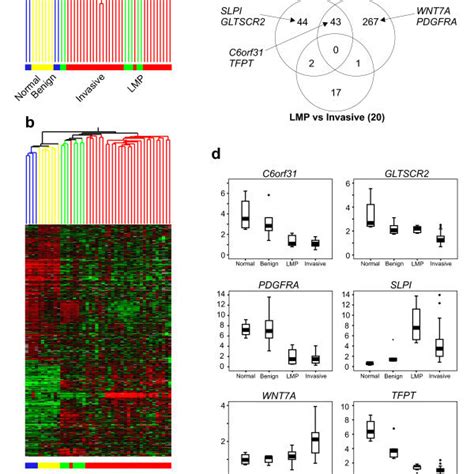 Microarray Analysis Demonstrates Differences In Gene Expression