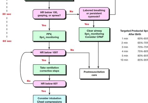 Neonatal Resuscitation Program Nrp Life Support Educa Vrogue Co