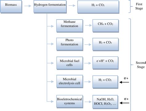 Two‐stage Biohydrogen Production Process Adapted From Ref [28