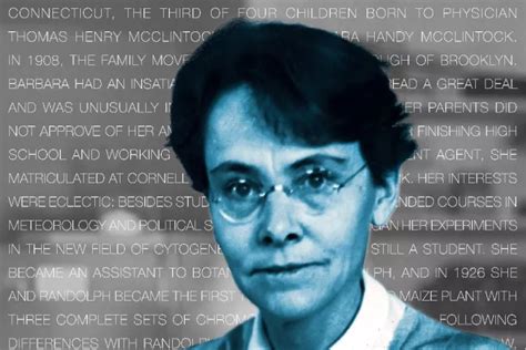 Exhibition Visionary Female Researchers Barbara Mcclintock
