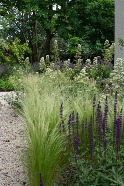 Grow A Bunch Of Native Grasses Sedges Artofit
