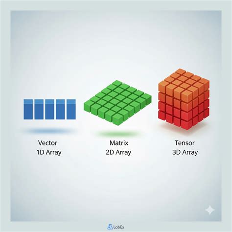 Création De Tableaux Numpy Tutoriels De Programmation Python Labex