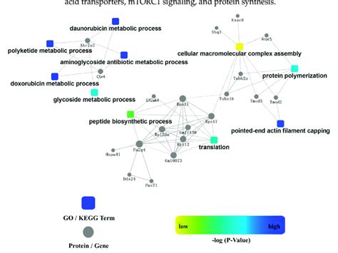 Ppi Network Proteins Are Represented By Dots And Signaling Pathways