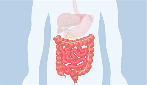 Hiatal Hernia Surgical Hernia Repair In Nj