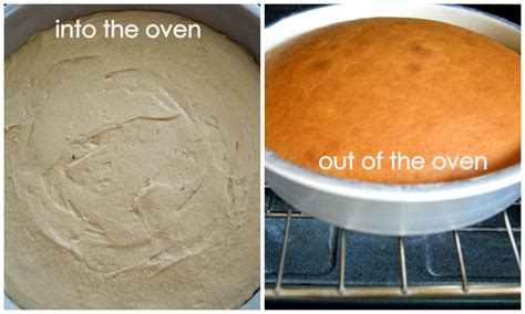 Easy Christmas Sponge Cake Ideas The Cake Boutique