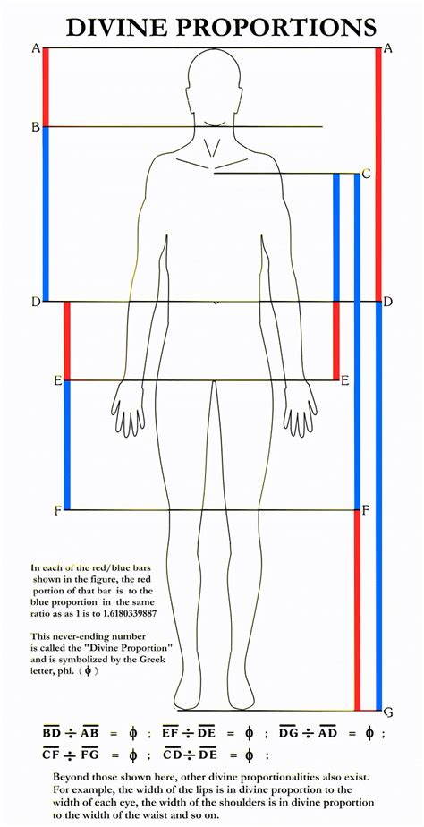 17 Best Images About Divine Proportion On Pinterest Golden Ratio