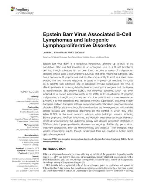 Pdf Epstein Barr Virus Associated B Cell Lymphomas And Iatrogenic