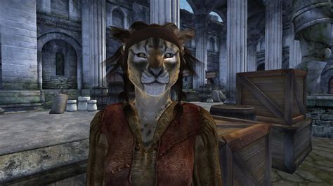 Darker Khajiit Hair At Oblivion Nexus Mods And Community