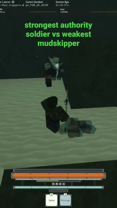 Average Authority Soldier Vs Average Mudskipper Deepwoken