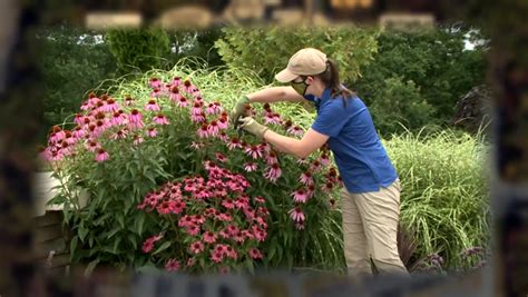 Inside Discovery Episode 3 City Of Greensboro Free Download Borrow And Streaming