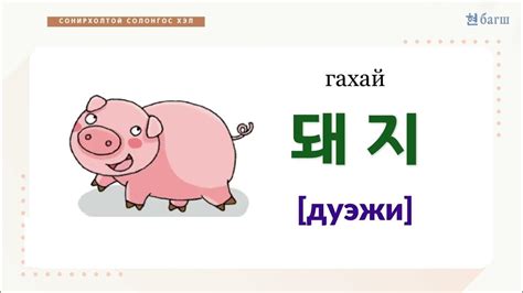 🌺⭐️Солонгос хэлний үгсийн сан 2 😍‼️ 한국어 몽골어 단어 모음 2 Youtube