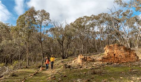Eureka Reef And Central Castlemaine Diggings