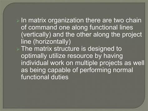 matrix organization structure project final fab 1 pptx business