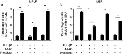 Effects Of Ta 65 On Tgf β Induced Fibroblasts To Myofibobroblasts