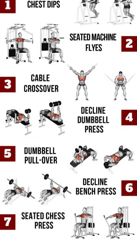 8 Best Lower Chest Exercises For Chiseled Pecs Chest Workouts