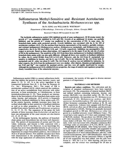 Pdf Sulfometuron Methyl Sensitive And Resistant Acetolactate