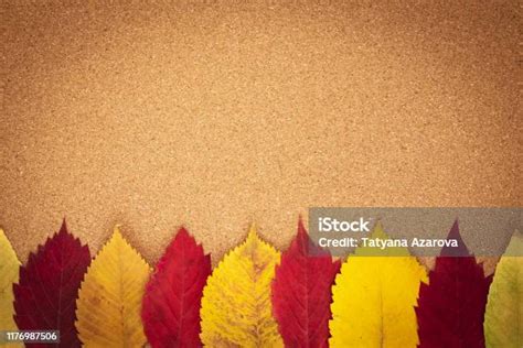 갈색 나무 배경에 복사 공간이있는 가을 프레임 빨간색과 노란색 낙엽의 아플리케 단풍의 구성 골판지 벽입니다 맨 위 보기 플랫 레이 10월에 대한 스톡 사진 및 기타 이미지