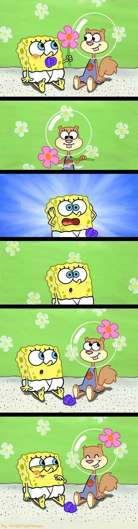 Spandy Spongebob Funny Spongebob Funny Wallpapers