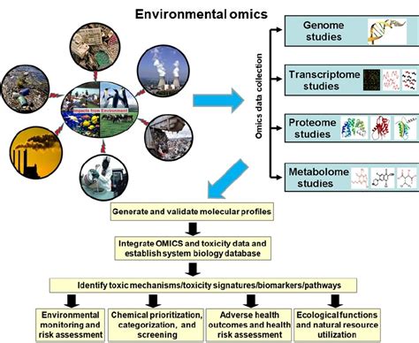 Environmental Omics And Its Applications Download Scientific Diagram