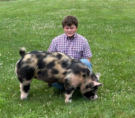 Caleb Howard Saddle Lites 4 H Club Breeders World