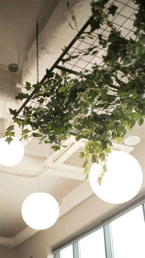 Ceiling Plant Grid For A Green Oasis Greenery Ceiling Installation