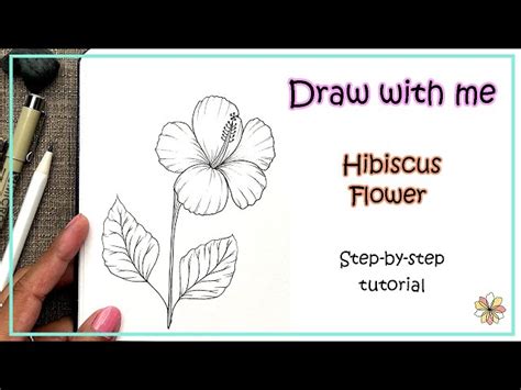 How To Draw Hibiscus Flowers Step By Step