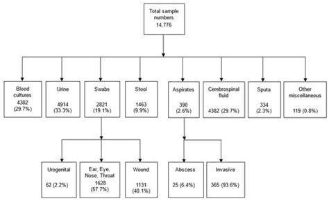 Using An Antibiogram Profile To Improve Infection Control And Rational