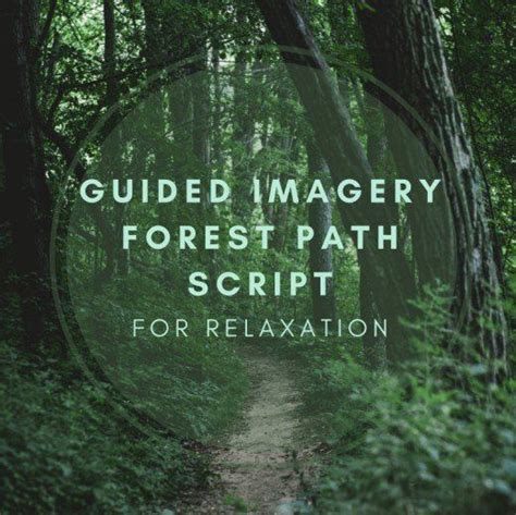 Guided Imagery Forest Path Script For Relaxation Artofit
