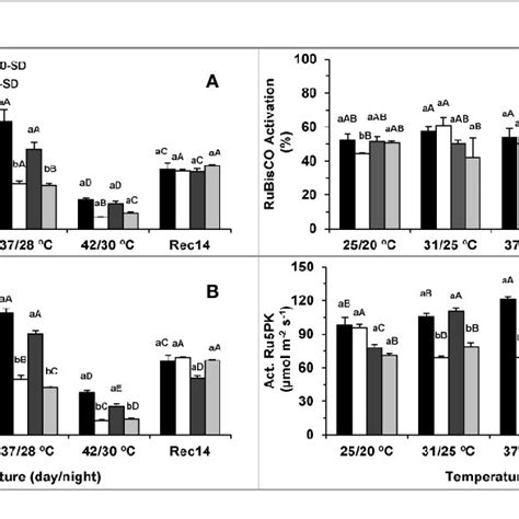 Stomatal Density SD A D Stomatal Index SI B E And Stomatal Download Scientific
