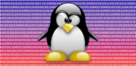 Canonical Soluciona 7 Vulnerabilidades En El Kernel De Ubuntu