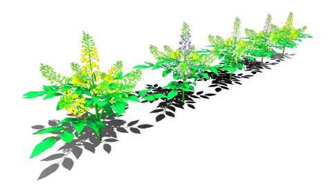 Artstation Flower Pterocarpus Indicus Game Assets