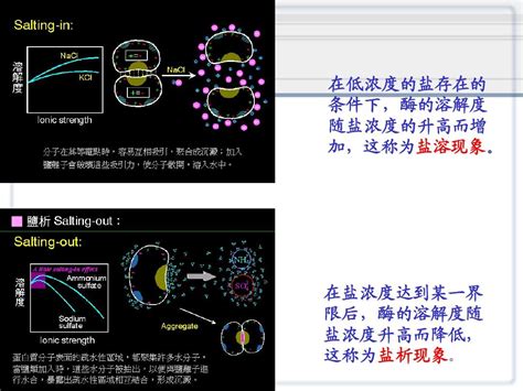 酶的提取和分离纯化 Word文档在线阅读与下载 无忧文档
