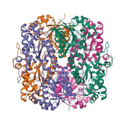 Rcsb Pdb 9mea Crystal Structure Of Pyrophosphate Fructose 6
