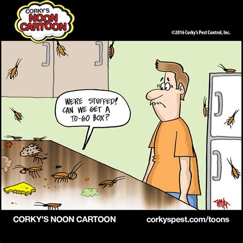 Cockroach Cartoons Cockroach Facts