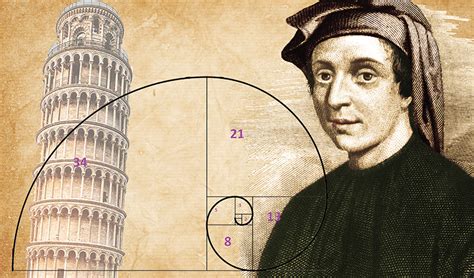 Níveis De Fibonacci Fazendo A Ponte Entre A Natureza E A Negociação Financeira