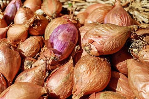 60 Free Shallots And Food Images Pixabay
