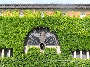 Kurashiki Wikitravel
