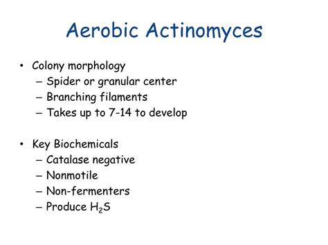 Ppt Gram Positive Bacilli Part Four Powerpoint Presentation Free