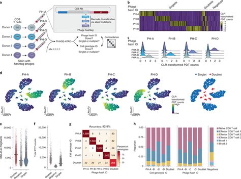 Phage Nanobodies Harboring Silent Mutations Enable Sample Download