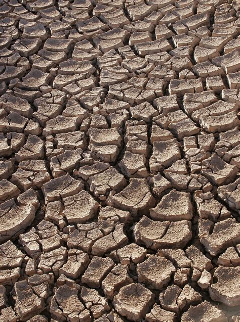 Drought Pictures And Information