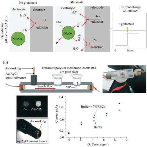 3d Printed Microfluidic Biosensor And Organs‐on‐a‐chip A 3d Printed Download Scientific