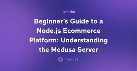 Explore Concepts Of A Medusa Ecommerce Server Hungvutech