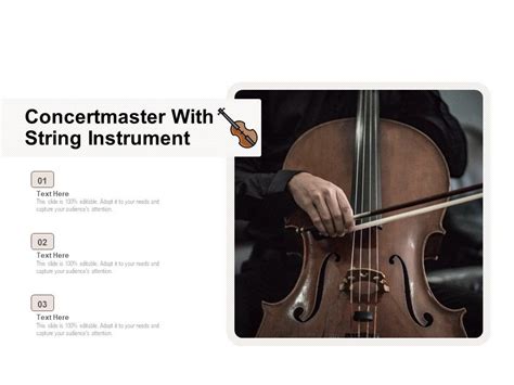 concertmaster with string instrument ppt powerpoint presentation icon
