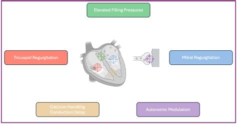Beyond Medical Therapy—an Update On Heart Failure Devices