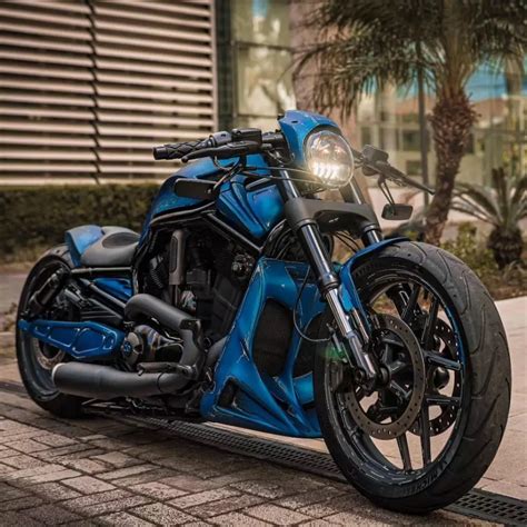 Harley Davidson V Rod For Sale Germany At Tena Burns Blog