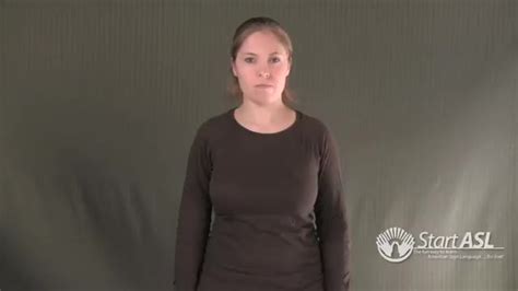 American Sign Language Asl Video Dictionary Okay